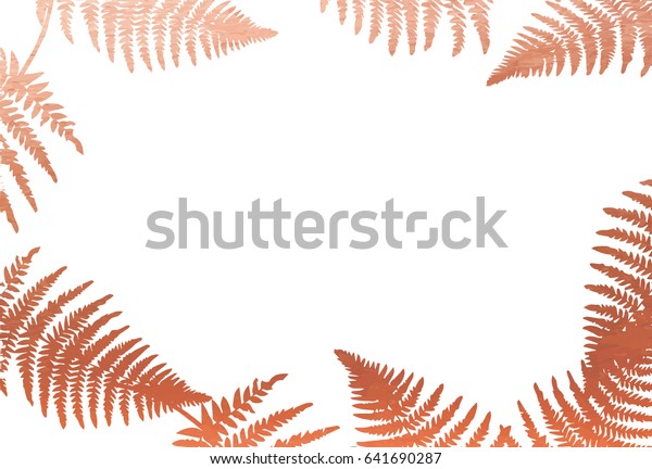 Copper Leaf Frame On White Background Stock Vector (Royalty Free ...