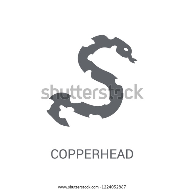 Copperhead Icon Trendy Copperhead Logo Concept Stock Vector (Royalty Free) 1224052867 | Shutterstock
