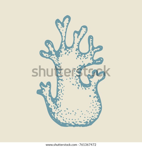 Coral Hand Drawing Vector Sketch Isolated Stock Vector (Royalty Free ...