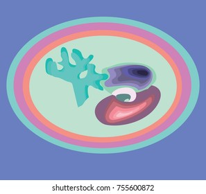 Coral Shell Pearl Coral Reef Logo Stock Vector (Royalty Free) 755600872 ...