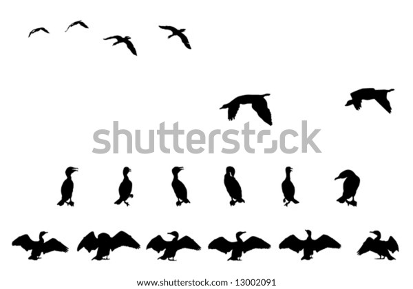 Cormorant Silhouette Collection Designers Stock Vector (Royalty Free ...