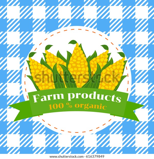 Corn Cobs Cartoon Signs Farm Product Stock Vector (Royalty Free ...