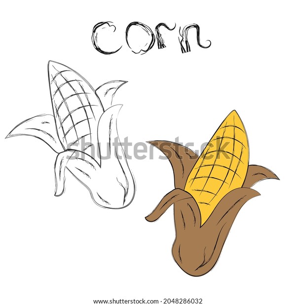 Corn Drawing Icon Coloring Children Vegetables Stock Vector (Royalty ...