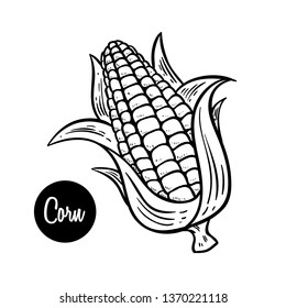 Corn Illustration Hand Drawn Sketch Style Stock Vector (Royalty Free ...