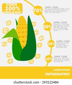 Corn Infographics Vegetables Vector Illustration Stock Vector (Royalty ...