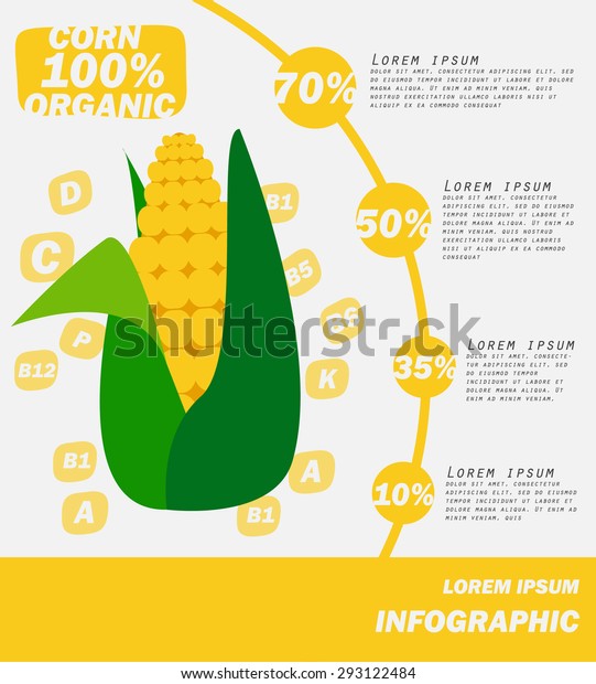 Corn Infographics Vegetables Vector Illustration Stock Vector (Royalty ...