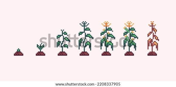 Corn Plant Growth Progress Pixel Art Stock Vector (Royalty Free ...