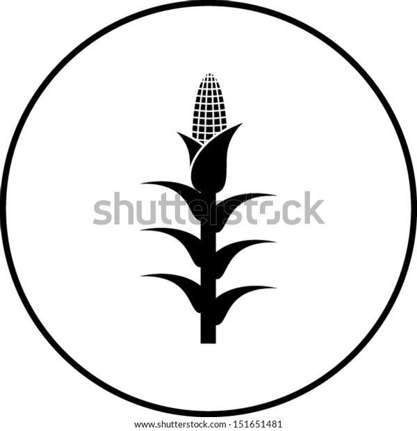 Corn Plant Symbol Stock Vector (Royalty Free) 151651481 | Shutterstock