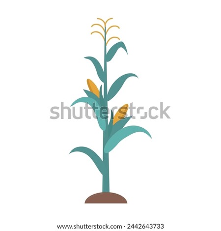 Cartoon Corn Stalk | Free download on ClipArtMag