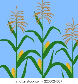 Corn Stalks Illustration Vector Cartoon Stock Vector (Royalty Free ...