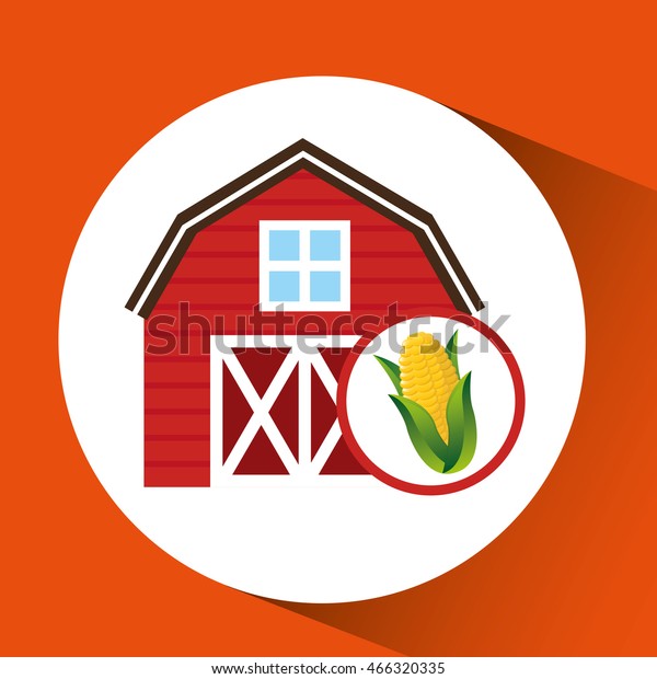 Corn Sun Organic Food Icon Vector Stock Vector (Royalty Free) 466320335 ...