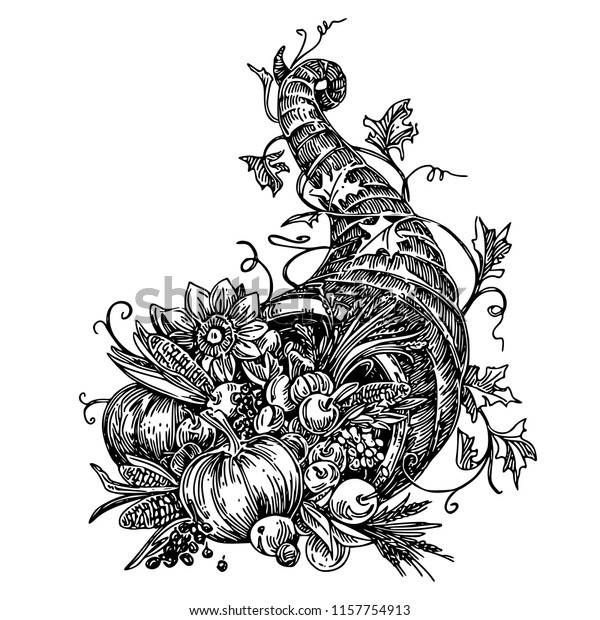 Cornucopia Sketch Engraving Style Vector Illustration Stock Vector ...
