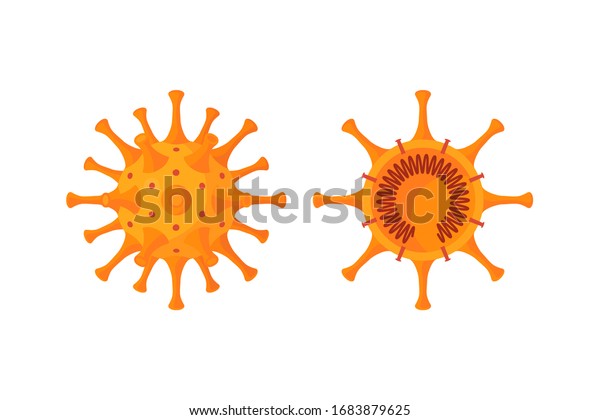Corona Virus Cross Section Diagram Vector Stock Vector (Royalty Free ...