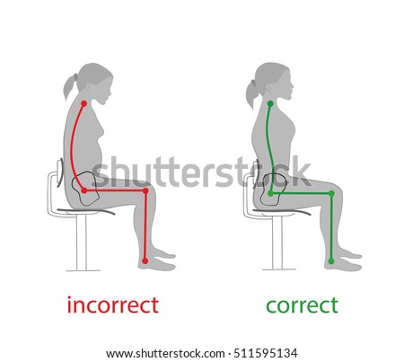 Correct Posture Spine Pelvis Position When Stock Vector (Royalty Free ...