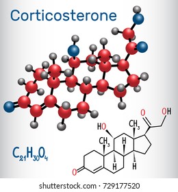 Corticosterone Steroid Hormone Structural Chemical Formula Stock Vector ...
