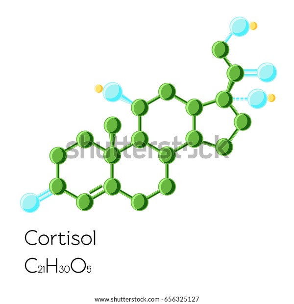 Cortisol Hormone Structural Chemical Formula Isolated Stock Vector ...