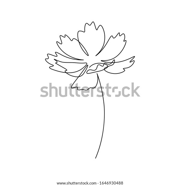 Cosmos Flower Continuous Line Art Drawing Stock Vector (Royalty Free ...