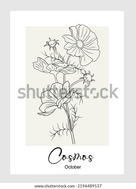 Cosmos Flower Line Art Vector Illustration Stock Vector (Royalty Free ...