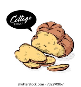 Colored Drawing Pandesal Bread Vector Illustration: vetor stock (livre ...
