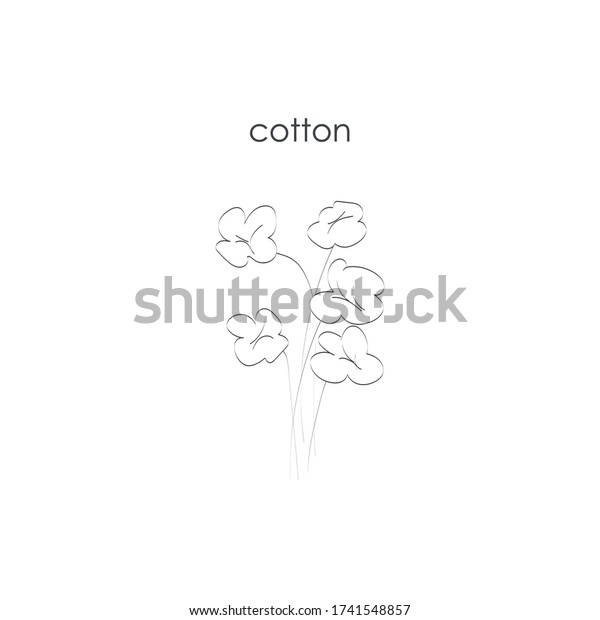 Cotton Doodle Flowers On Branches Organic Stock Vector (Royalty Free ...