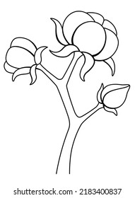 2,133 Cotton plant outline Images, Stock Photos & Vectors | Shutterstock