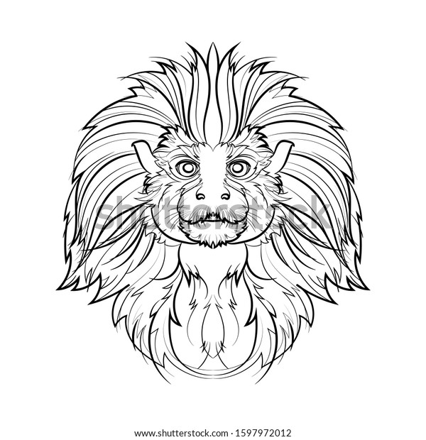 Cottontop Tamarin Head Line Drawing Vector Stock Vector (Royalty Free ...