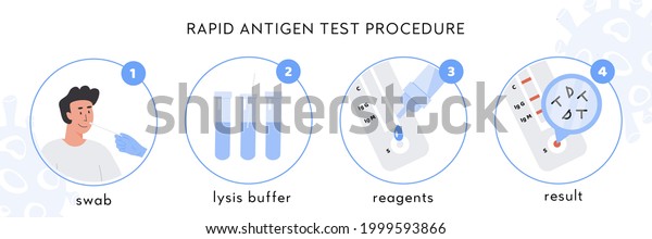 Covid19 Rapid Antigen Test Procedure Infographic Stock Vector (Royalty ...