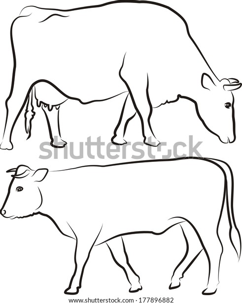 Cow Bull Outlines Stock Vector (Royalty Free) 177896882 | Shutterstock