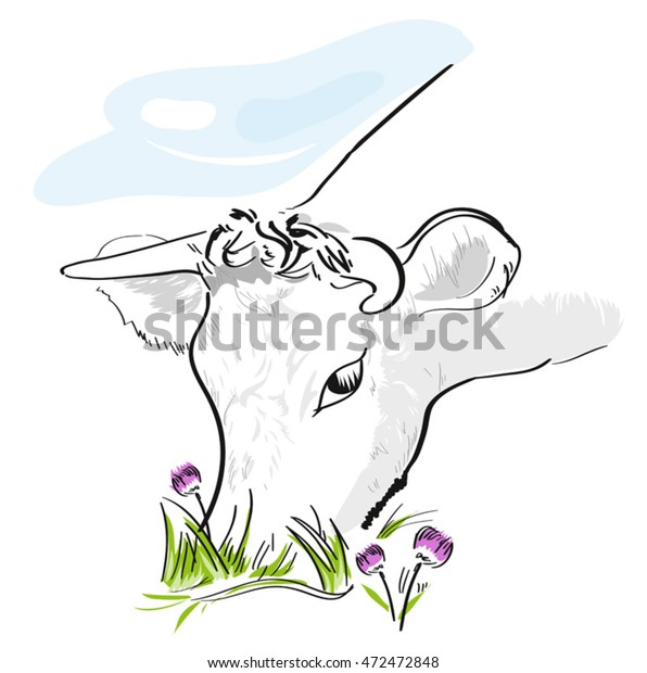 Cow Eat Clover Vector Illustration Stock Vector (Royalty Free) 472472848