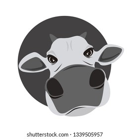 27 vetores de Nelore Vetores, imagens e arte vetorial stock | Shutterstock