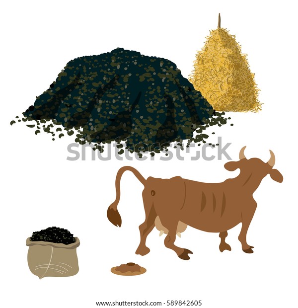 Cow Shits Vector Illustration Farming Stock Vector (Royalty Free ...