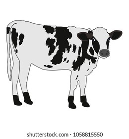 Cow Spotted Vector Illustration Stock Vector (Royalty Free) 1058815550 ...