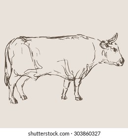 Cow Vector Hand Draw Sketch Stock Vector (Royalty Free) 303860327 ...