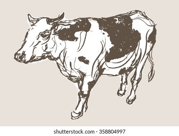 Cow Vector Hand Draw Sketch Stock Vector (Royalty Free) 358804997 ...