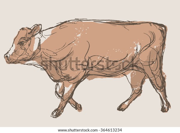 cow vector, hand draw sketch