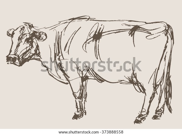 cow vector, hand draw sketch