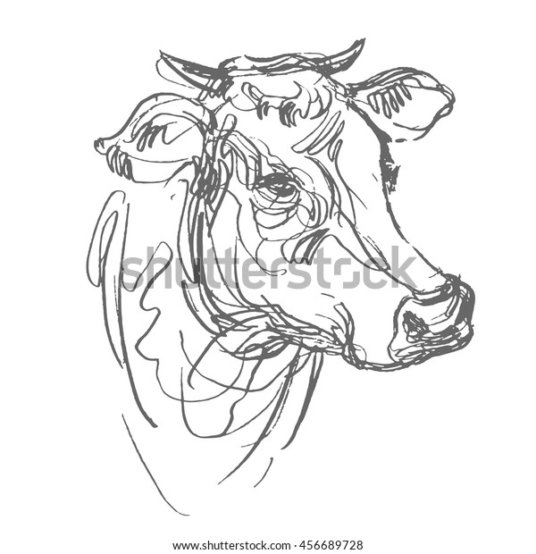 Cow Vector Hand Draw Sketch Stock Vector (Royalty Free) 456689728 ...