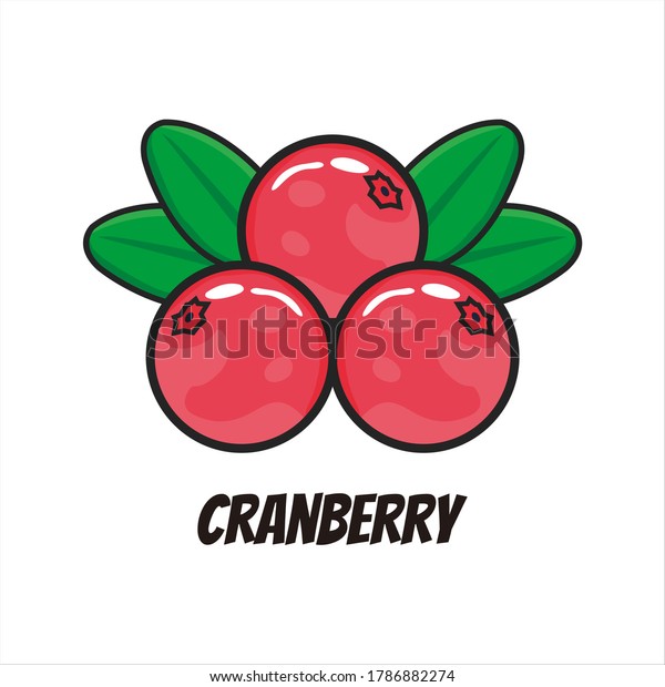 Cranberry Vector Food Fruit Cartoon Stock Vector (Royalty Free) 1786882274