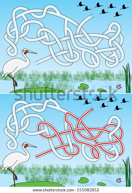 Crane Maze Kids Solution Stock Vector (Royalty Free) 555082852 ...