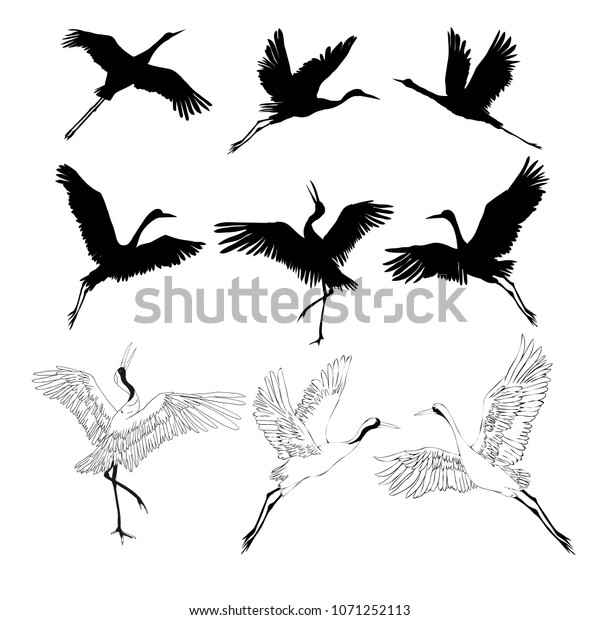 Crane Sketch Bird Flying Over White Stock Vector (Royalty Free ...