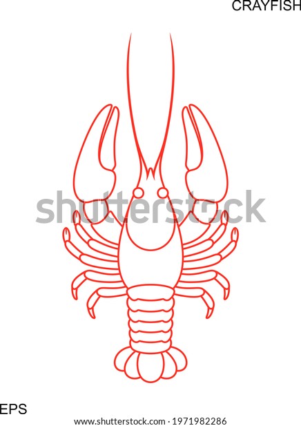 Crayfish Outline Isolated Crayfish On White Stock Vector (Royalty Free ...
