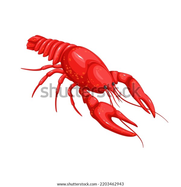 Crayfish Vector Illustration Cartoon Isolated Red Stock Vector (Royalty ...