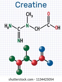 Creatine Molecule Structural Chemical Formula Molecule Stock Vector ...