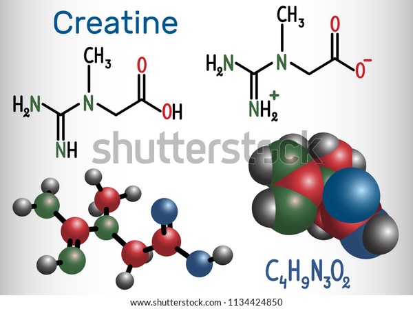 Creatine Molecule Structural Chemical Formula Molecule Stok Vektör ...