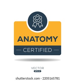 Creative Anatomy Certified Badge Vector Illustration Stock Vector ...