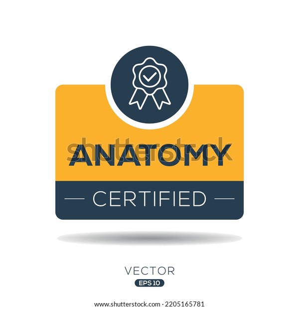Creative Anatomy Certified Badge Vector Illustration Stock Vector ...