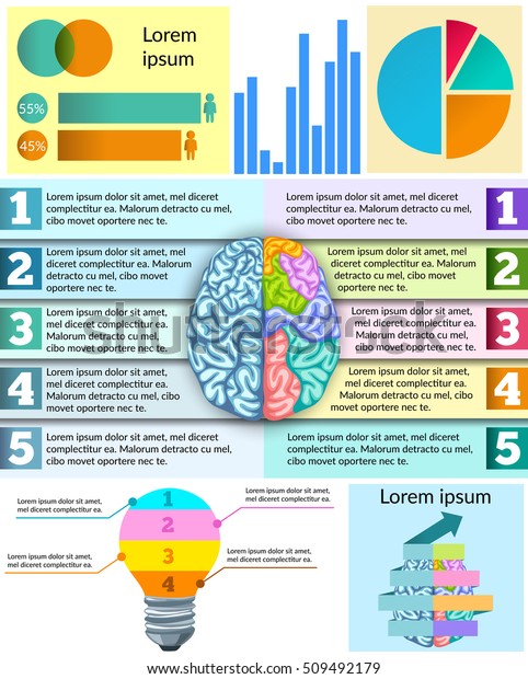 Creative Brain Infographic Graphs Charts Diagram Stock Vector (Royalty ...