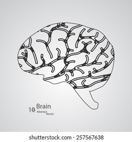 Creative Concept Human Brain Vector Elegant Stock Vector (Royalty Free ...