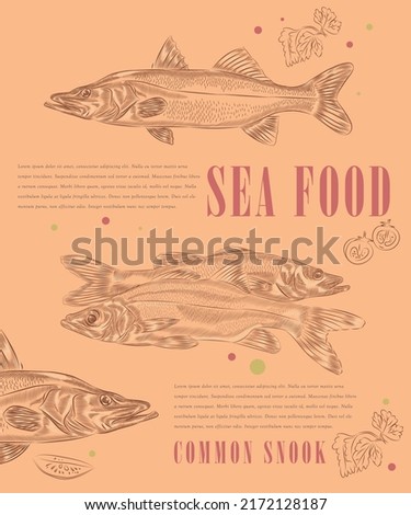 Snook Drawing | Free download on ClipArtMag