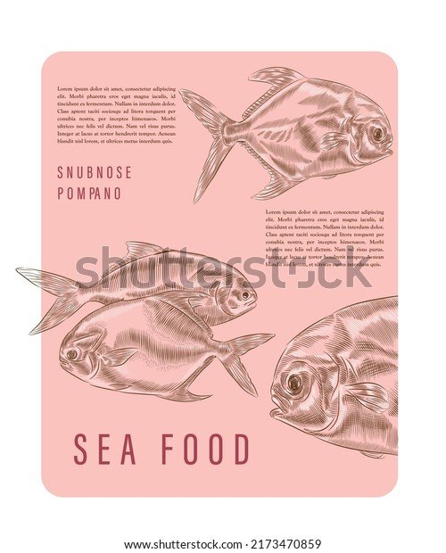 Creative Design Template Illustration Golden Pomfret Stock Vector ...